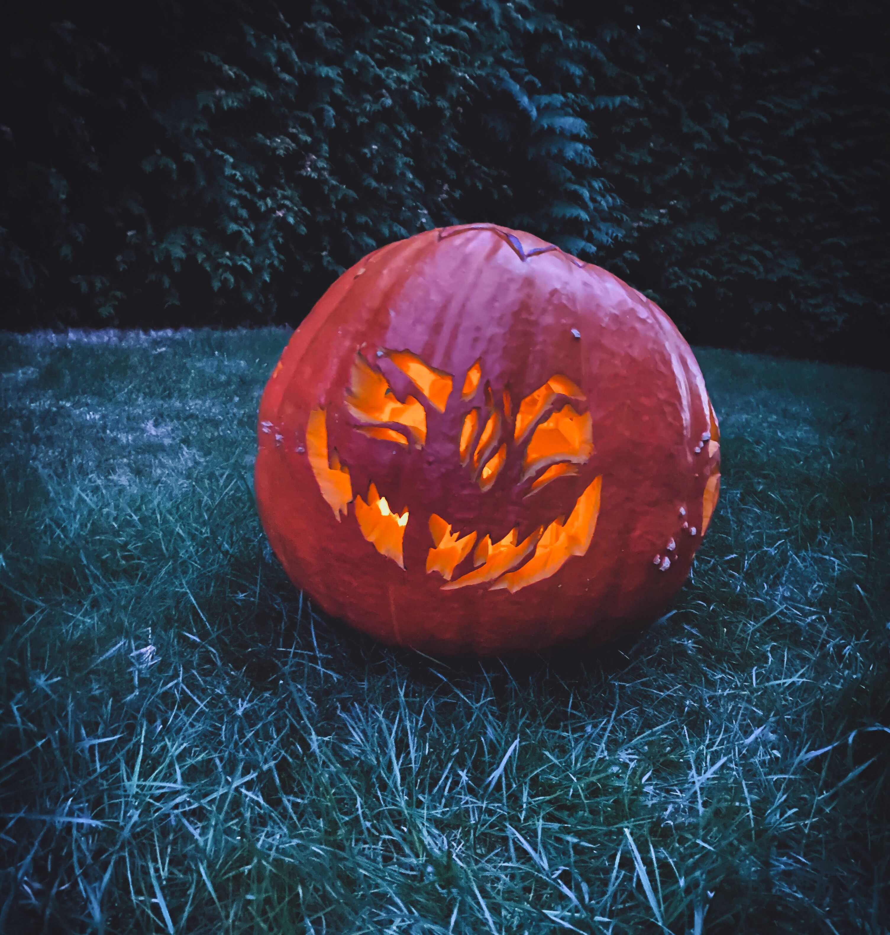 Halloween a dýně ? - Pradoch.cz